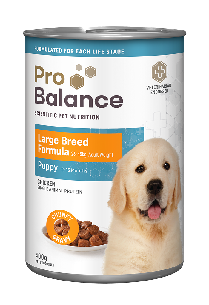 Large Breed Puppy Formula: Mousse - Probalance