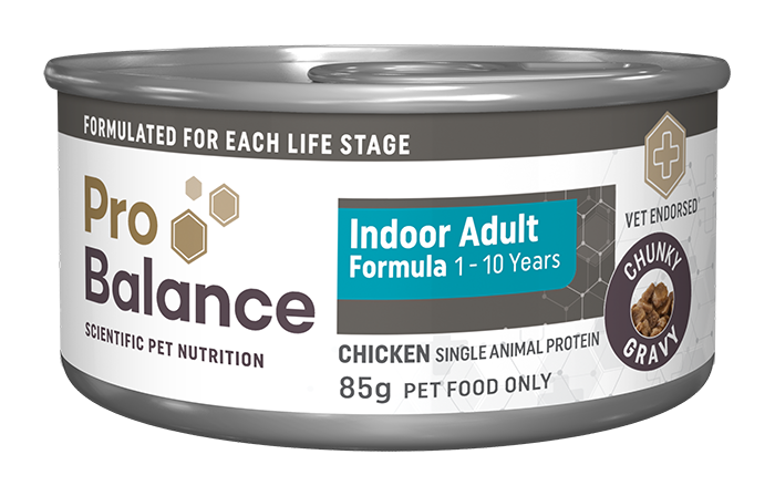 Indoor Adult Formula: Gravy - Probalance