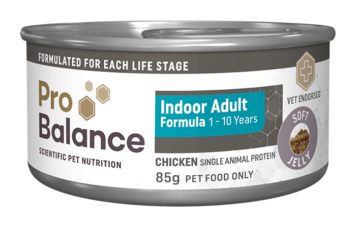 Indoor Adult Formula: Jelly - Probalance