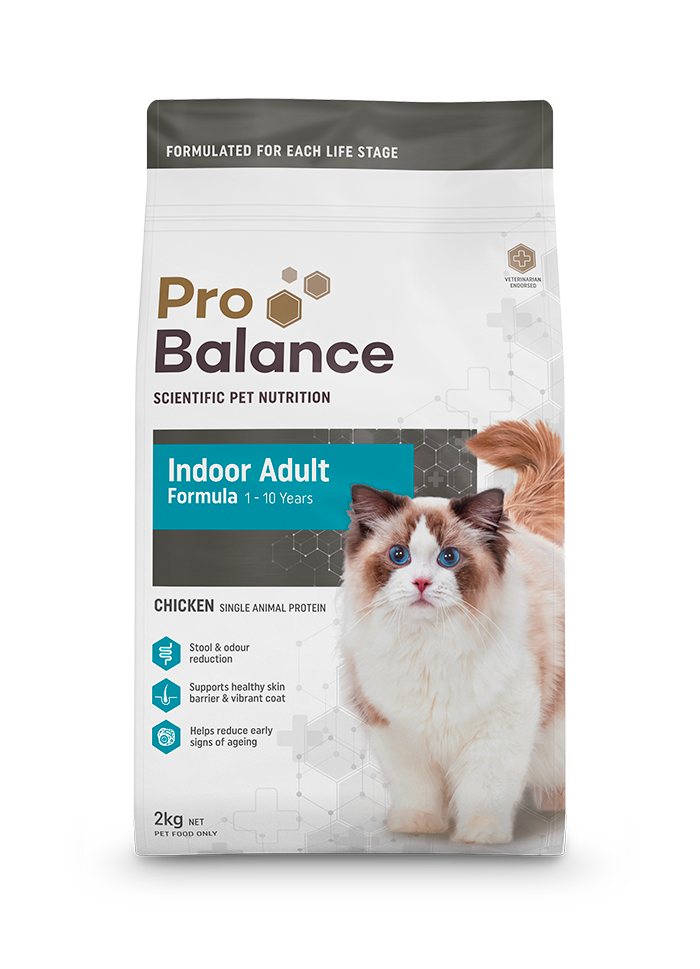 Indoor Adult Formula - Probalance