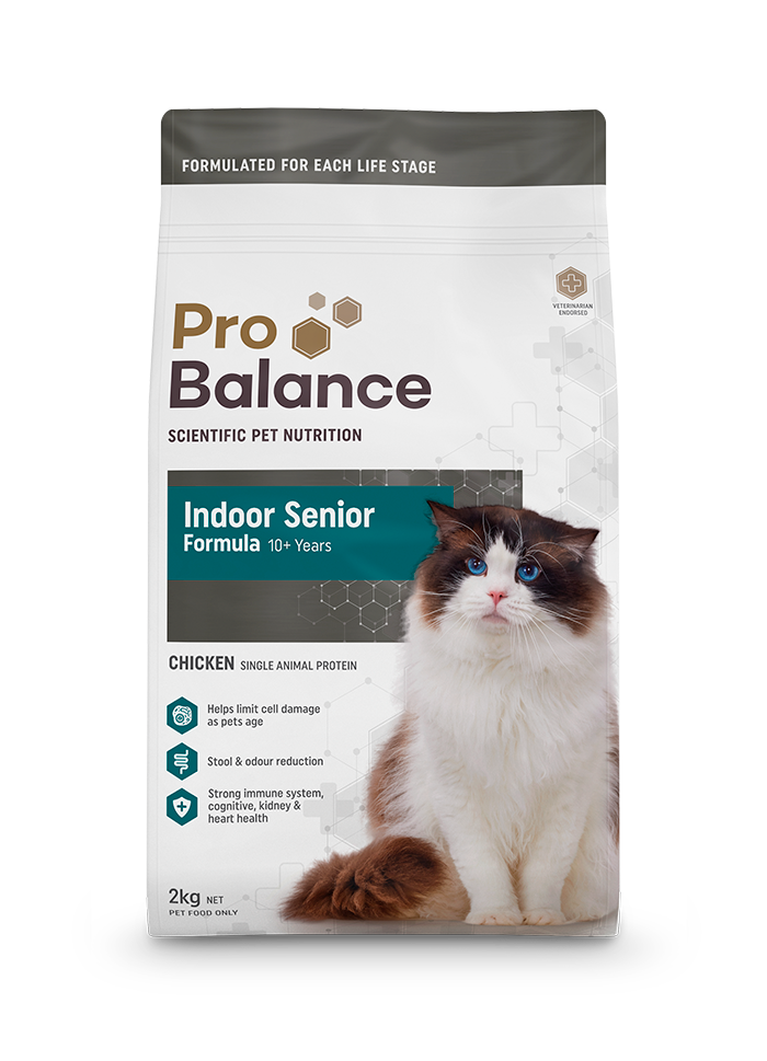 Indoor Senior Formula - Probalance
